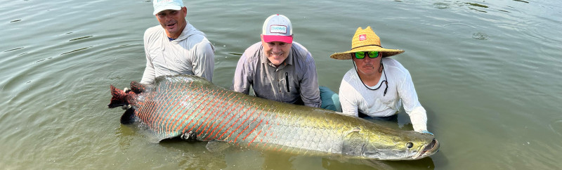 An Amazonian Adventure: The Rio Marié and Pirarucú Combo